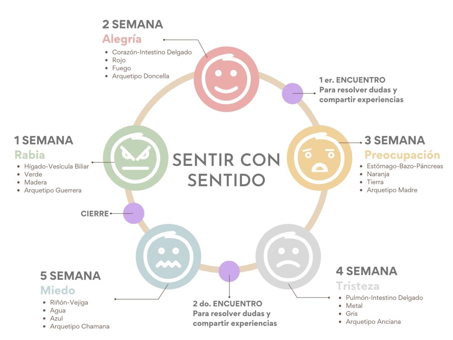 ¡Descubre "Sentir con Sentido": Un Viaje hacia la Gestión Emocional ...